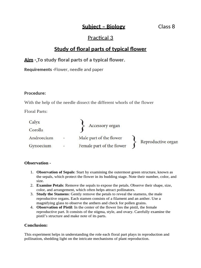 Practical 3 Floral parts | PDF