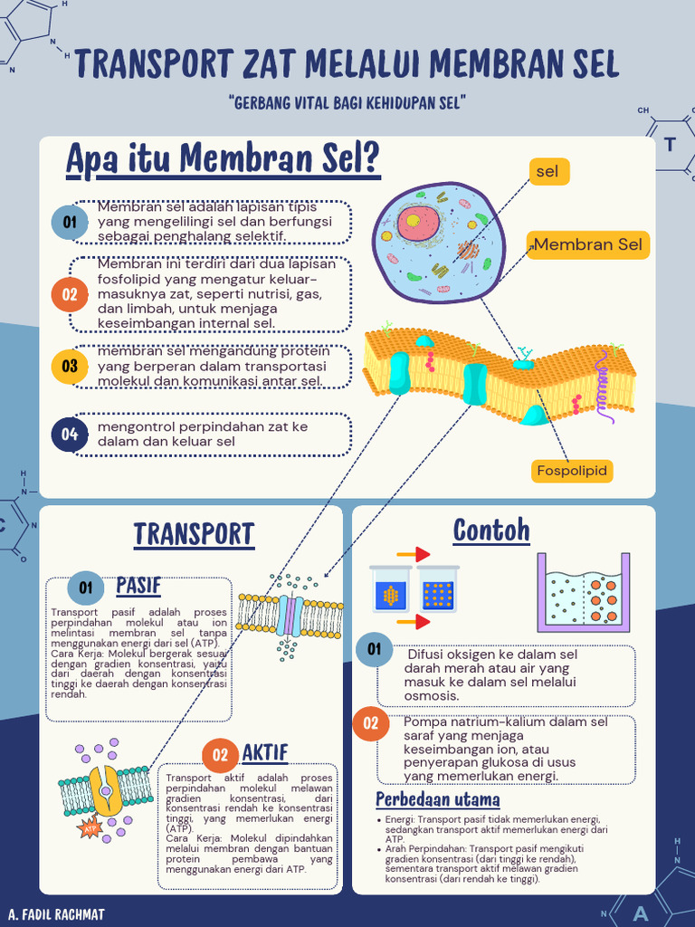 Transport Zat Melalui Membran Sel | PDF
