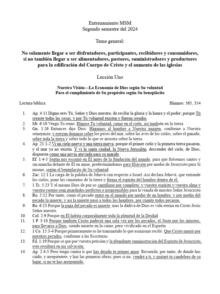 MSM 2024-3 L01 Vision-Esp | PDF