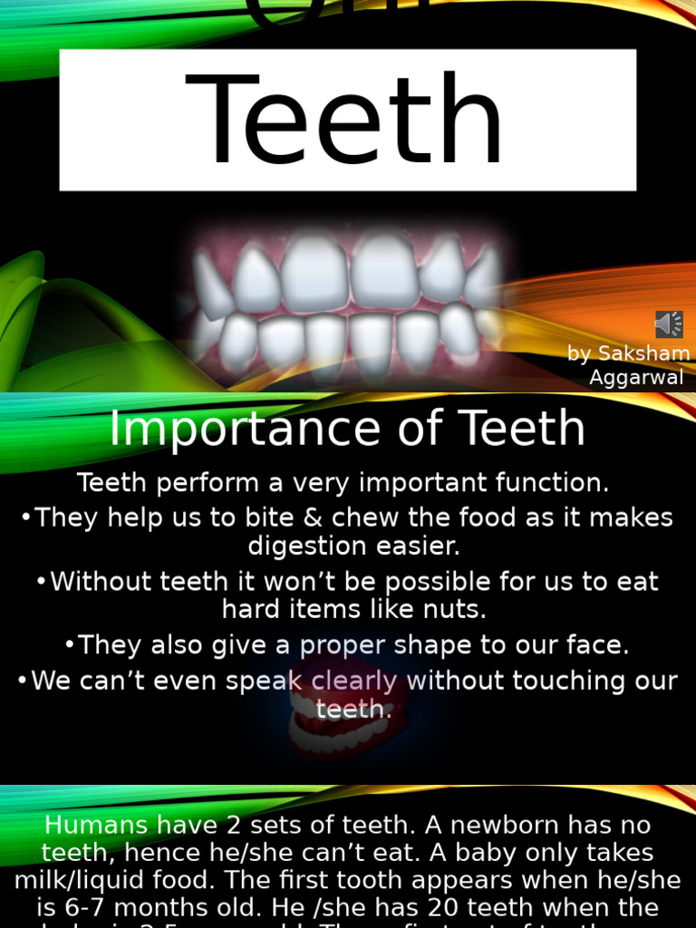 Our Teeth | PDF