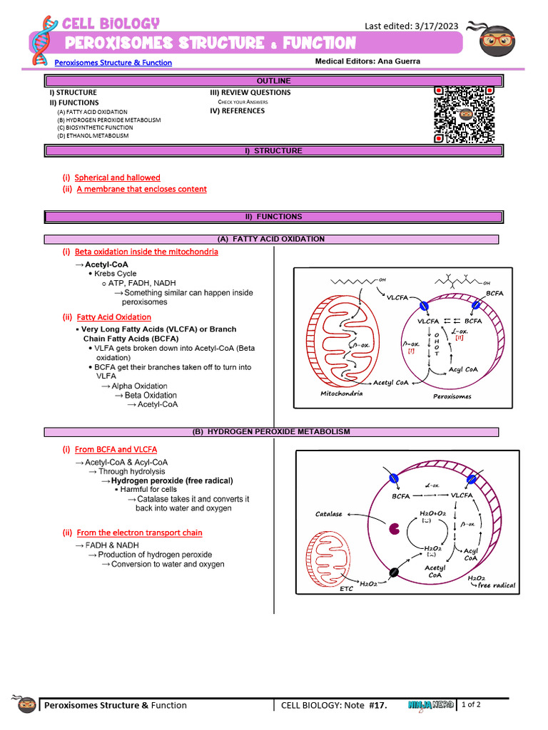 Peroxisomes Structure & Function (2) Atf | PDF