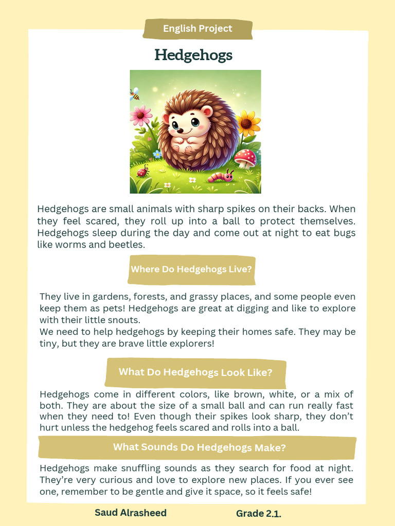 Hedgehogs: English Project | PDF
