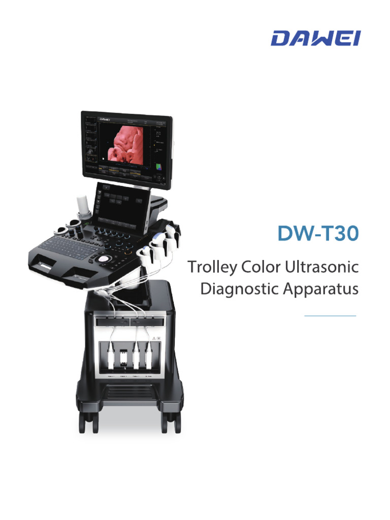 DW-T30 Catalog | PDF