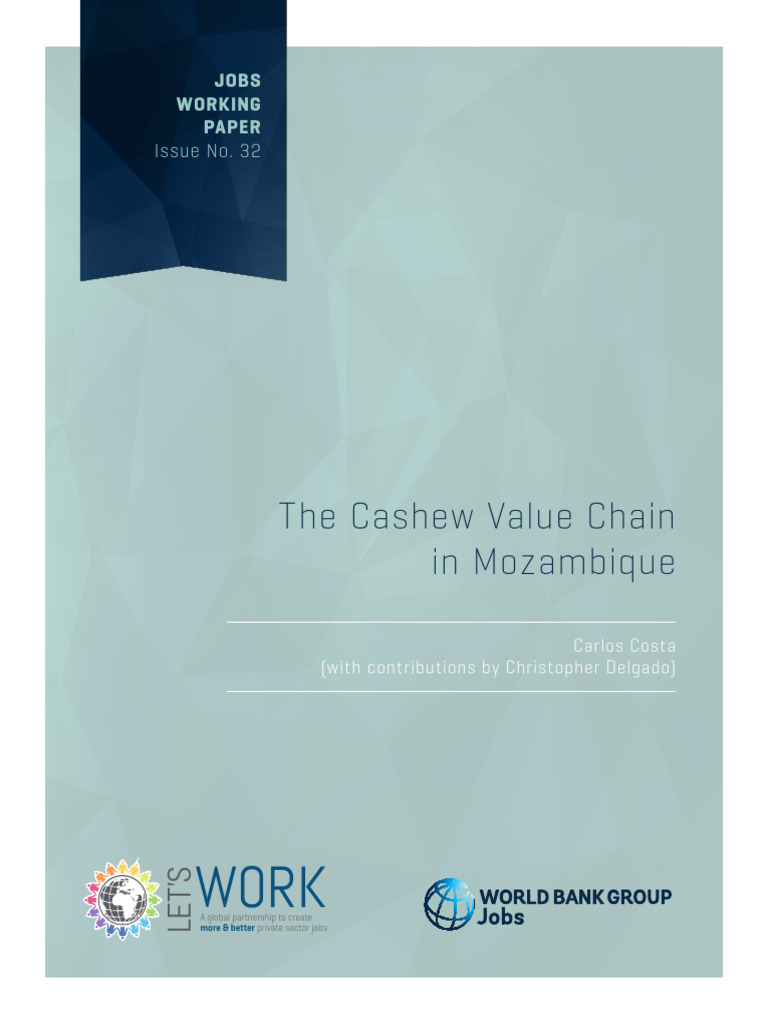 3the Cashew Value Chain in Mozambique | PDF