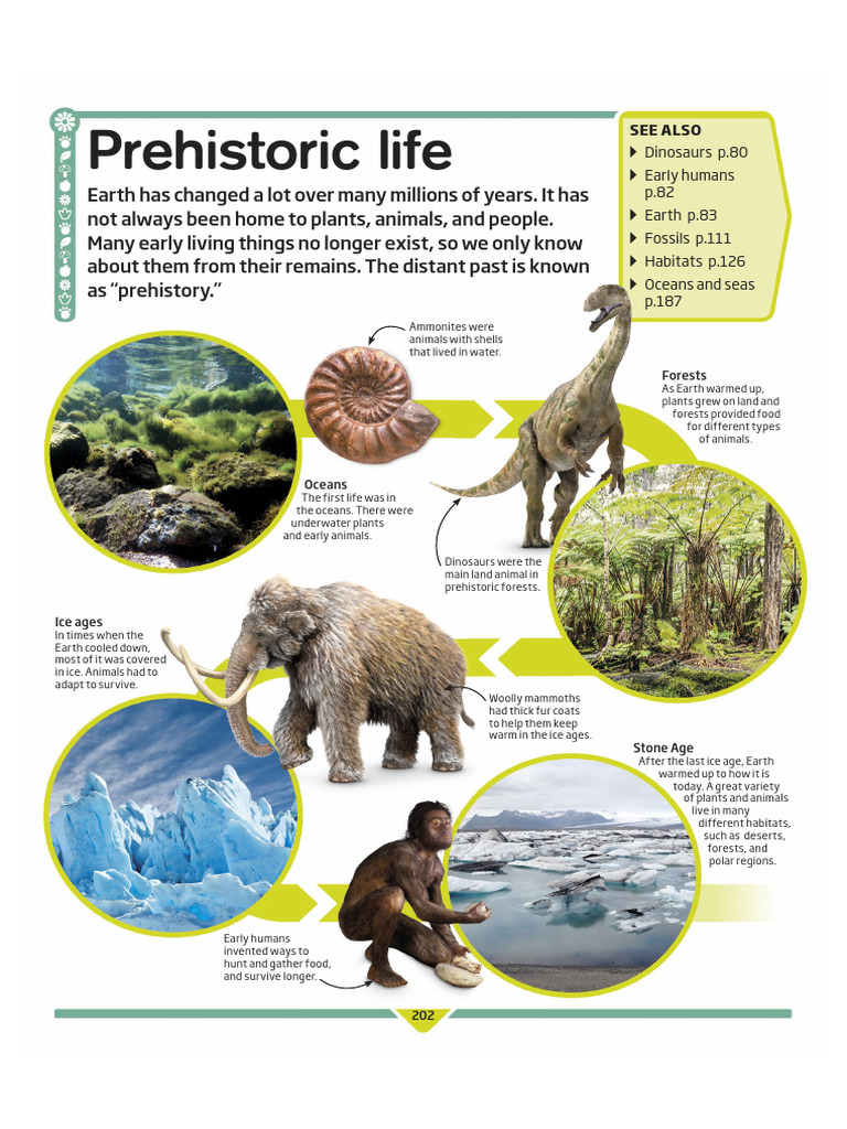 Prehistoric life | PDF