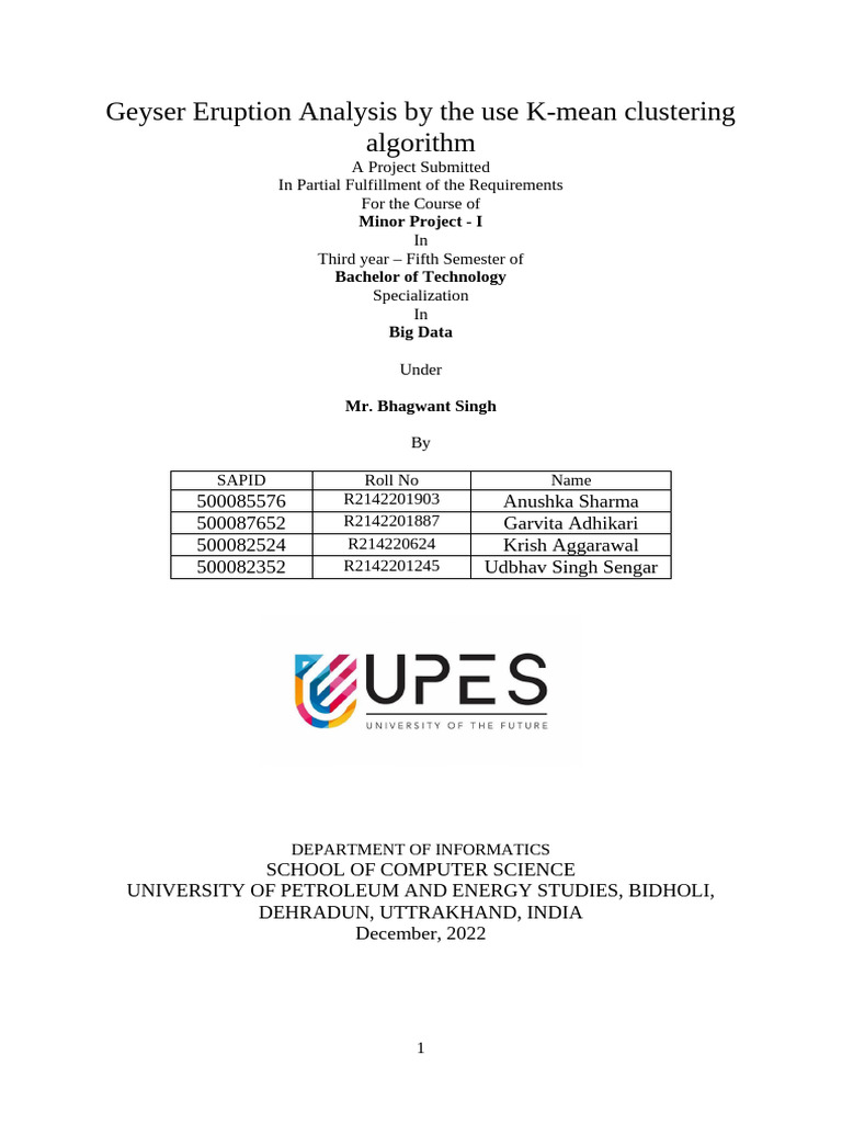 Project Report Pdf