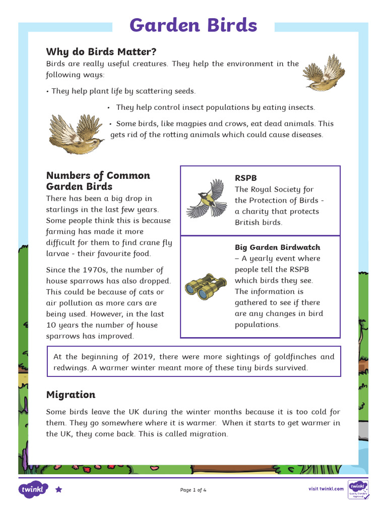 LKS2 Garden Birds Differentiated Reading Comprehension Activity | PDF
