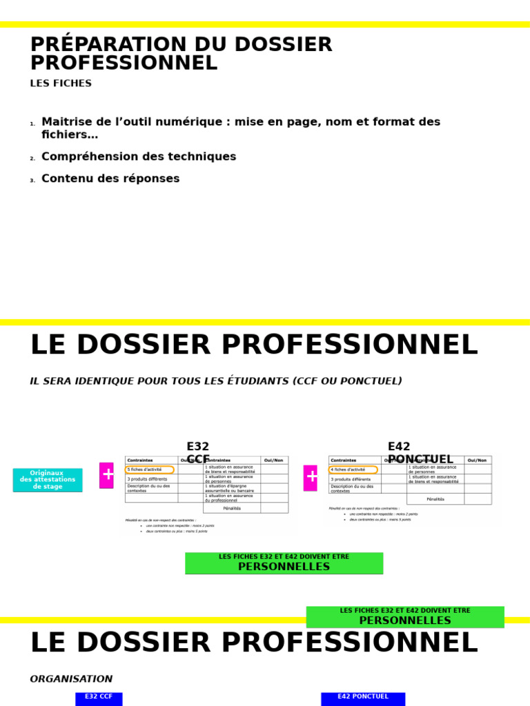 Dossier Professionnel | PDF