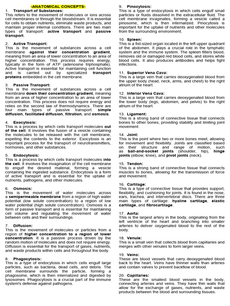 ANATOMICAL-CONCEPTS | PDF