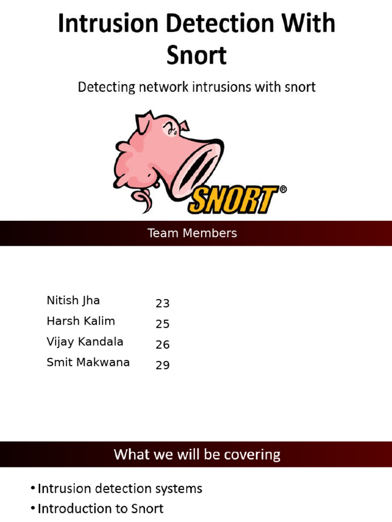 Snort.ppt-1 | PDF
