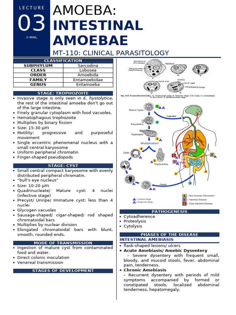 MT110 Lec3lab3 | PDF