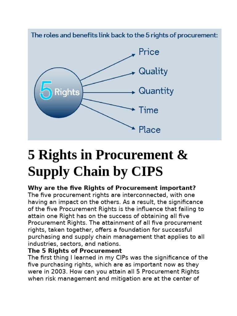 5 Rights in Procurement | PDF | Procurement | Business