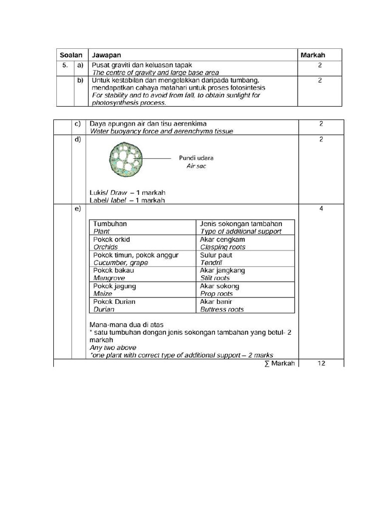 BAB 6 (JAWAPAN)(7 OKT 2024) | PDF