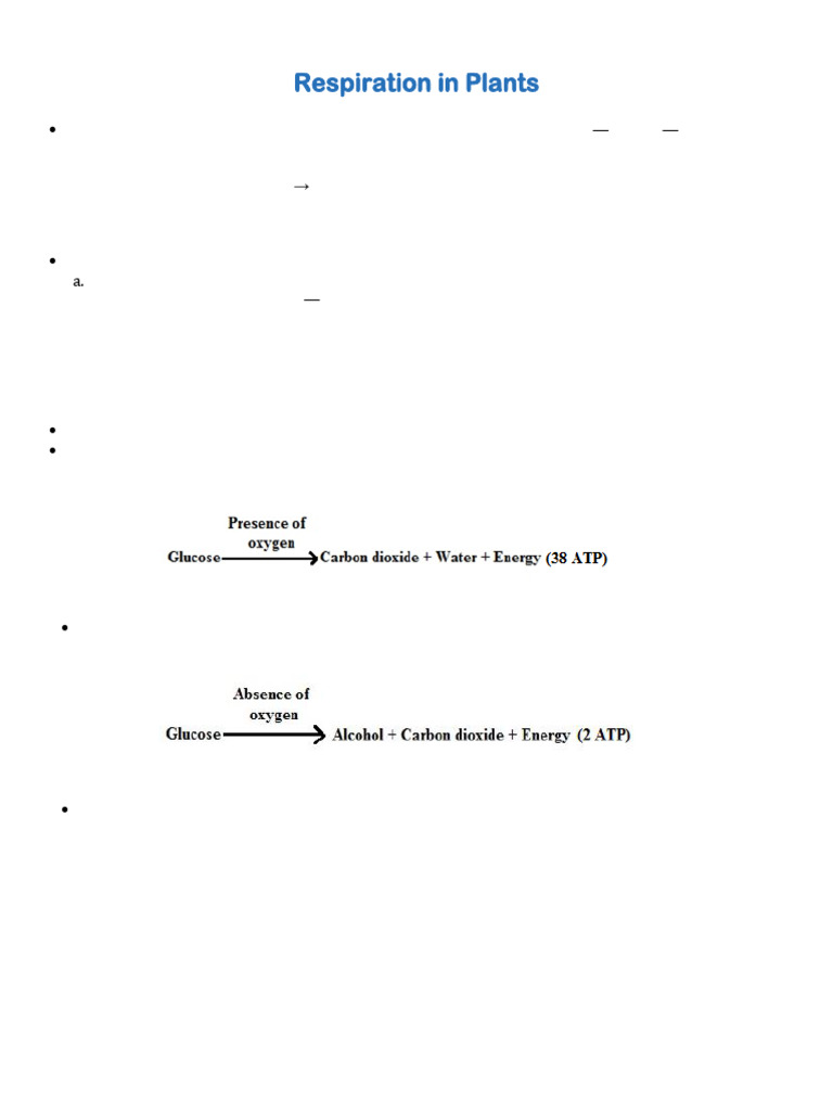 Respiration in Plants | PDF