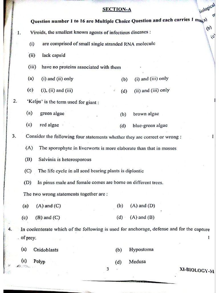 Biology Mid Term Paper 2024-25 | PDF
