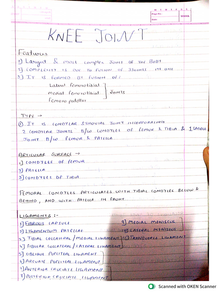 Knee Joint | PDF