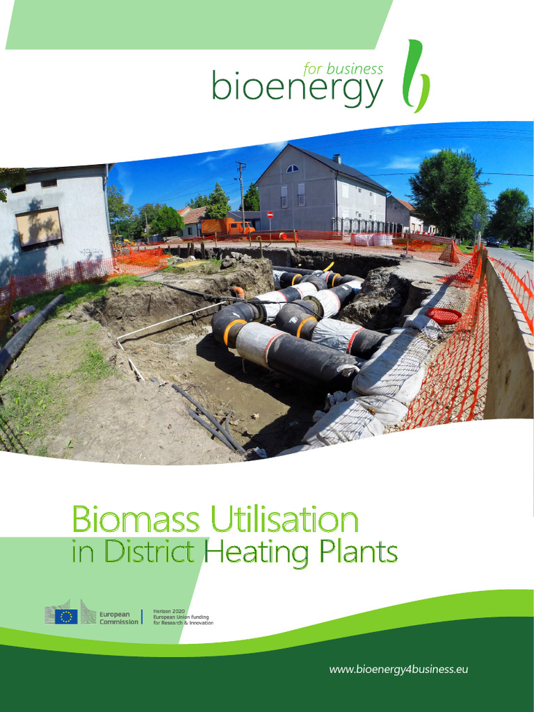 Biomass Brochure | PDF
