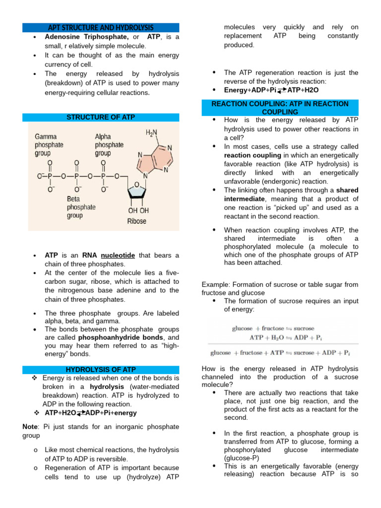 APT-STRUCTURE-AND-HYDROLYSIS | PDF