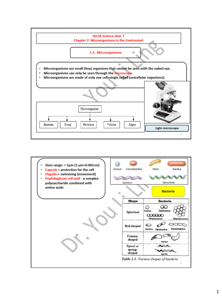IGCSE-Year 7-Science-Chapter 7-Microorganisms in The Environment-Notes ...