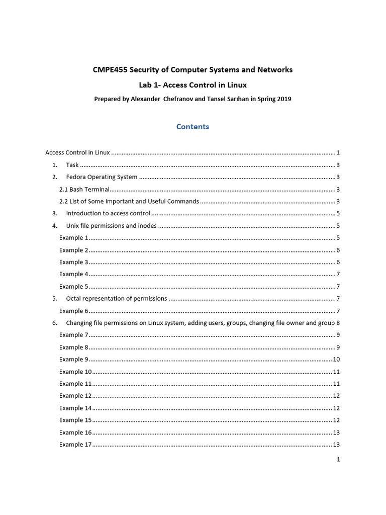 CMPE455 Lab 1 - Access Control | PDF | Computer File | Computers
