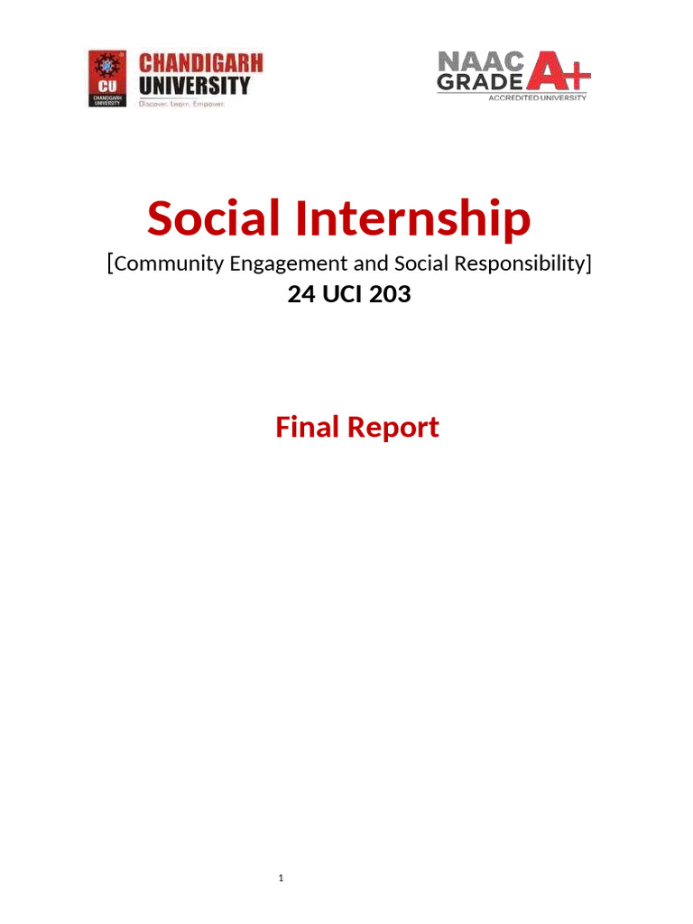 Final Report, Manit | PDF