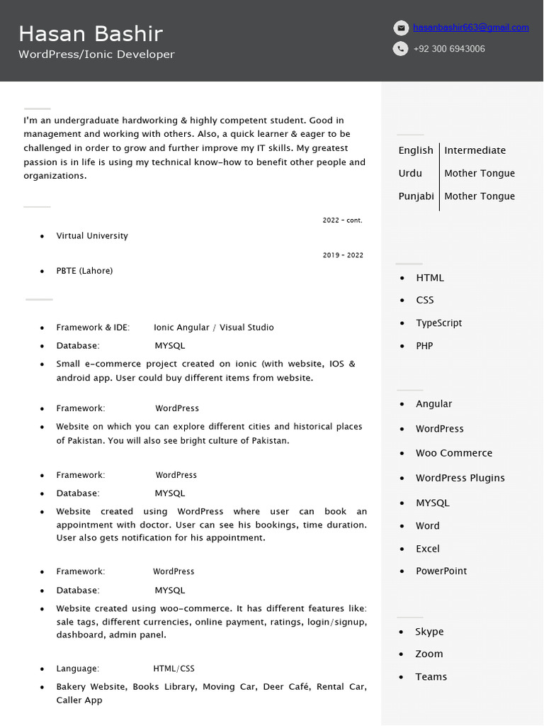 CV (Modern) - Hassan | PDF