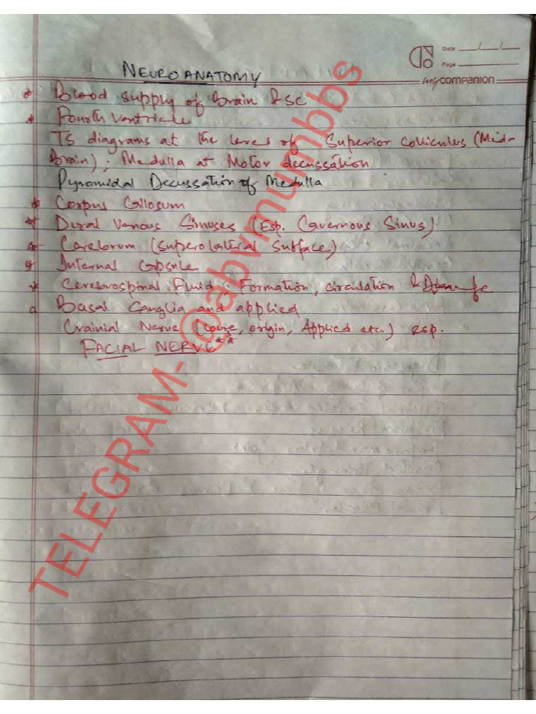 1st Year Imp | PDF