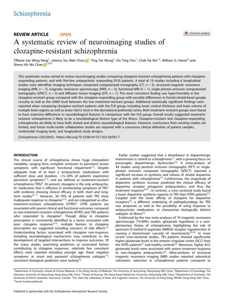 Example revisión sistemática | PDF