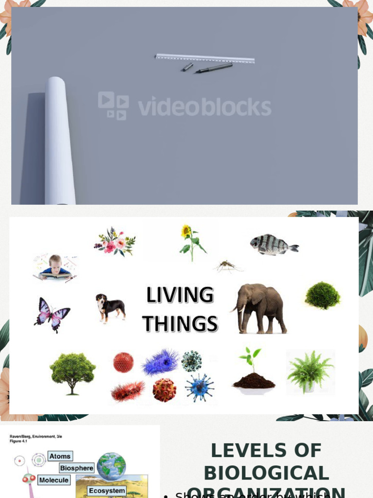 Levels of Biological Organization | PDF