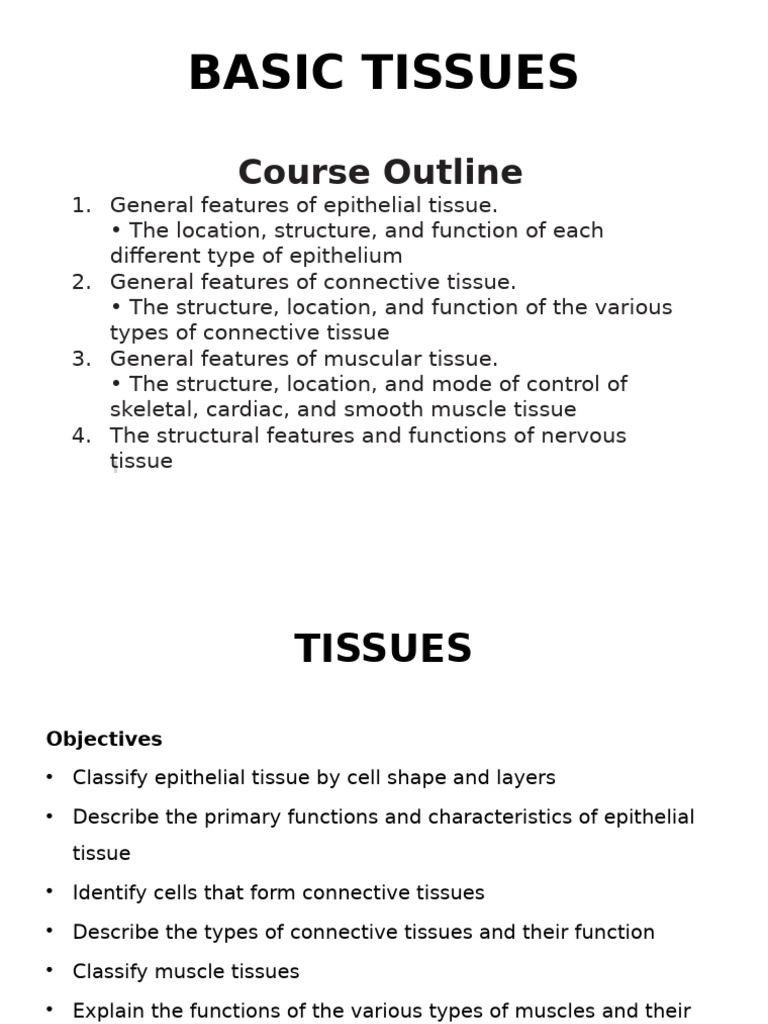 Basic Tissues Edited No A - 124931 | PDF