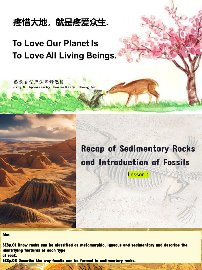 Sedimentary, Fossils and Metamorphic Rocks | PDF