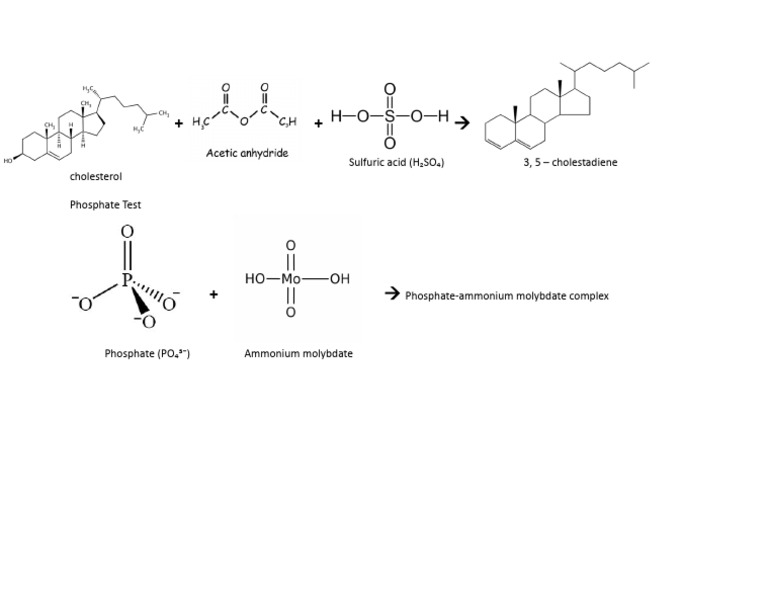 Chemical Reaction For Liebermann-Burchard Test and Phosphate Test | PDF