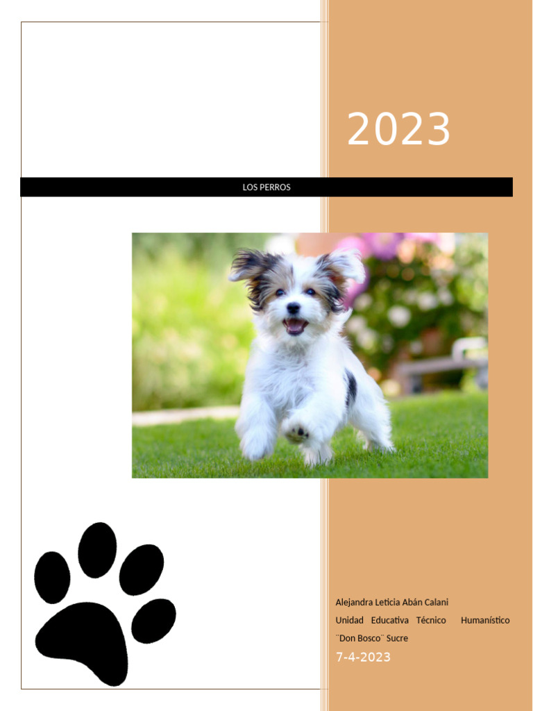 Perro Pdf