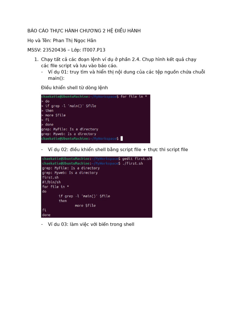 BÁO CÁO TH C HÀNH LAB2 (Detailed) | PDF