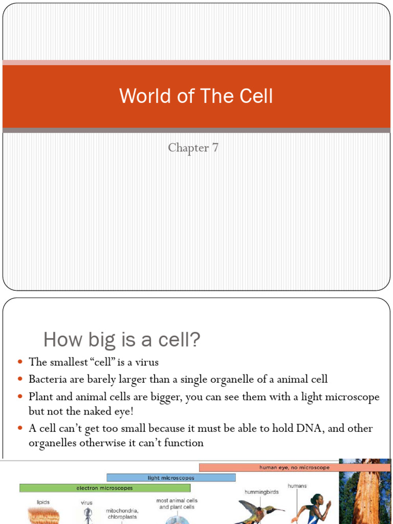 The World of The Cell | PDF