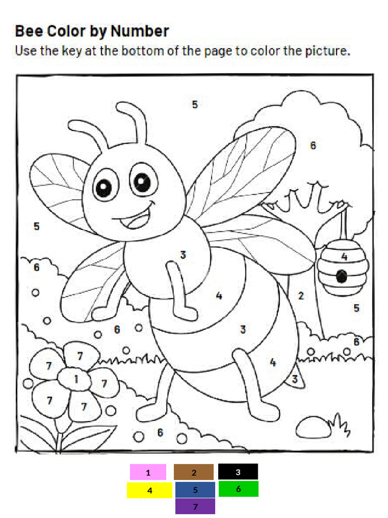 bee color by number | PDF