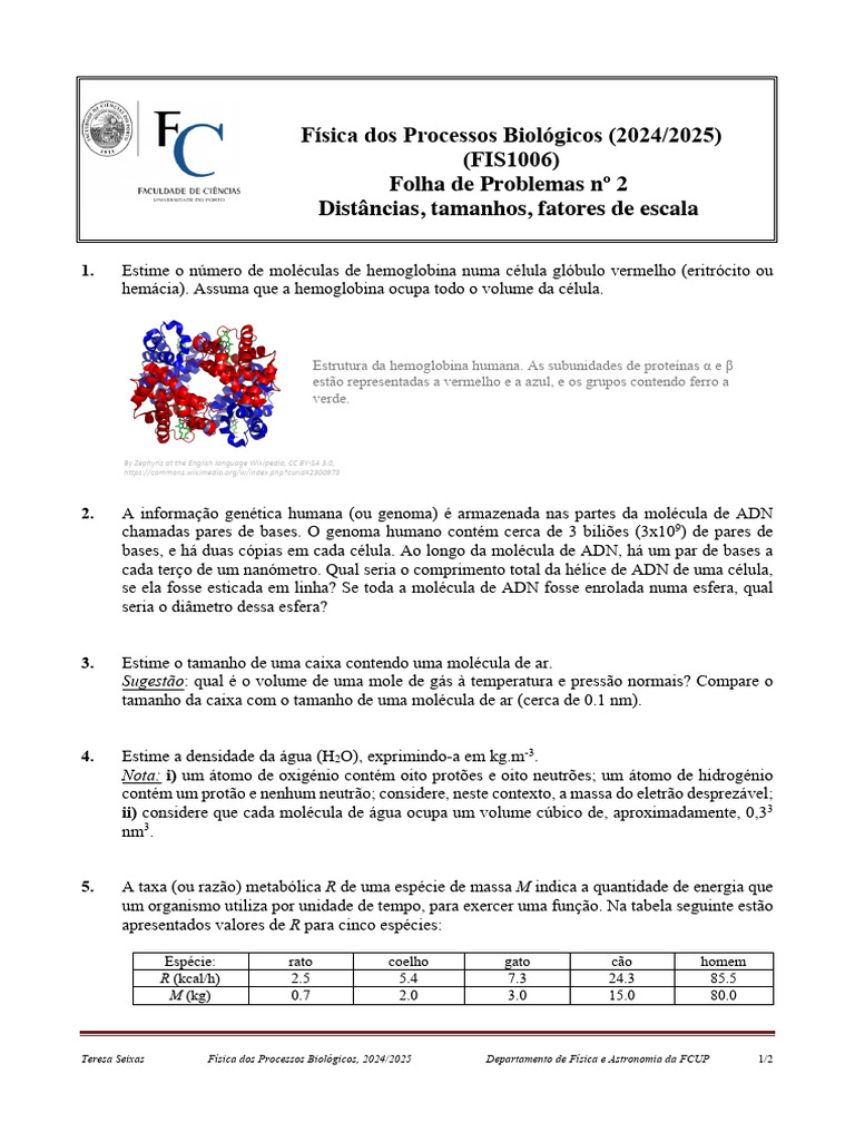 FIS1006 2024-2025 FP2 Distâncias Tamanhos Fatores Escala | PDF