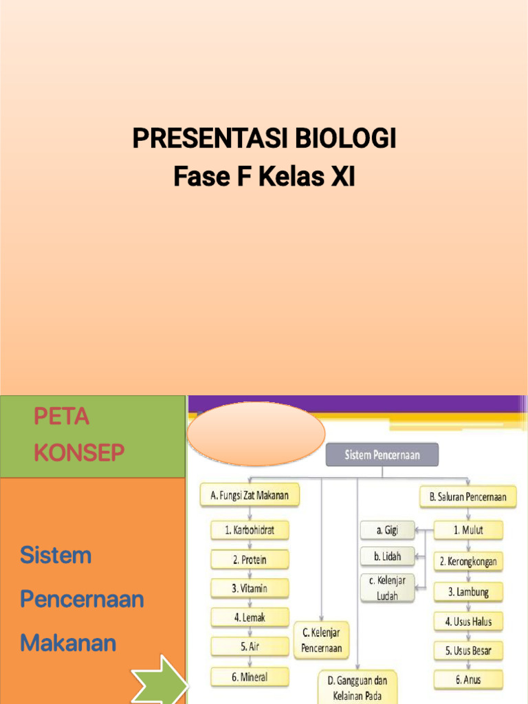 Sistem-Pencernaan-Fase F | PDF