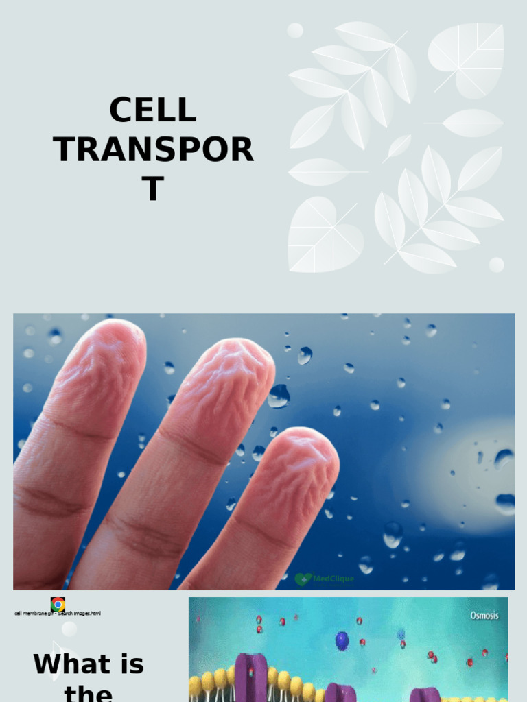 Cell Transport | PDF
