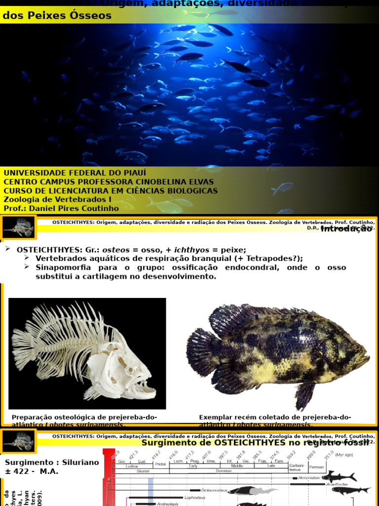 06-Osteichthyes Parte 1 | PDF