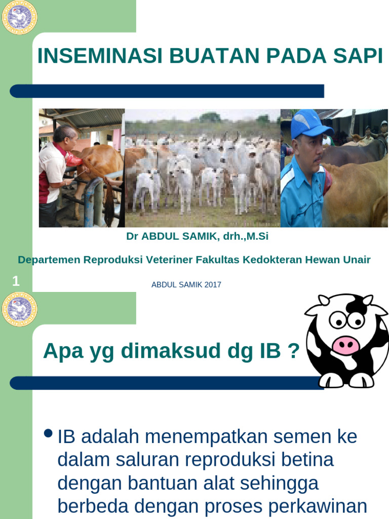 Inseminasi Buatan Pada Sapi | PDF