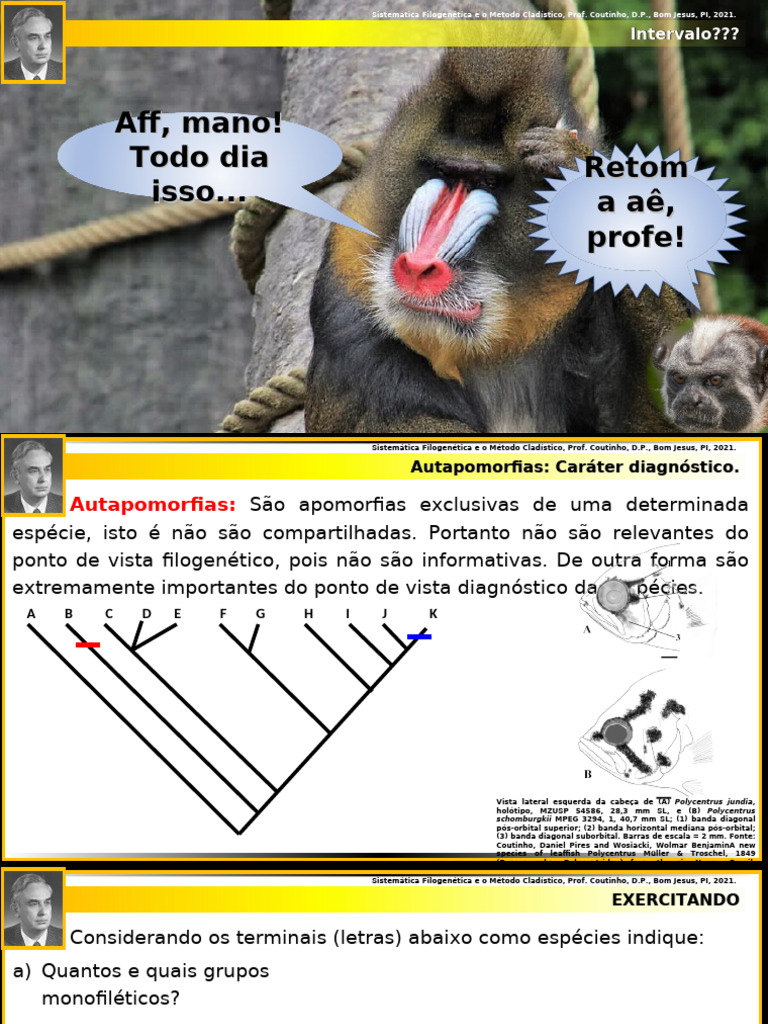 02 - Sistemática Filogenética - Parte 2 - Slide 49 - 85 | PDF