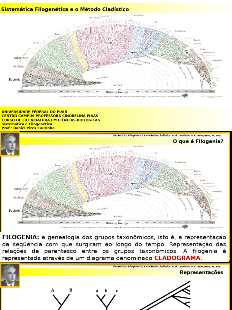01 - Sistemática Filogenética - Parte 1 - Slide 01 - 48-Dell-Coutinho | PDF