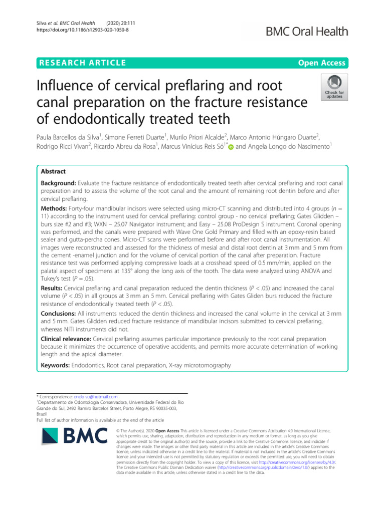 Tonic Activity in The Respiratory System in Wakefulness, NREM and REM ...