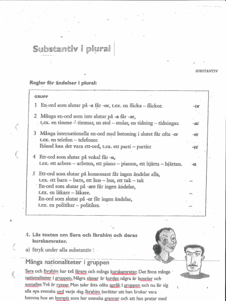 Facit Substantiv I Plural | PDF