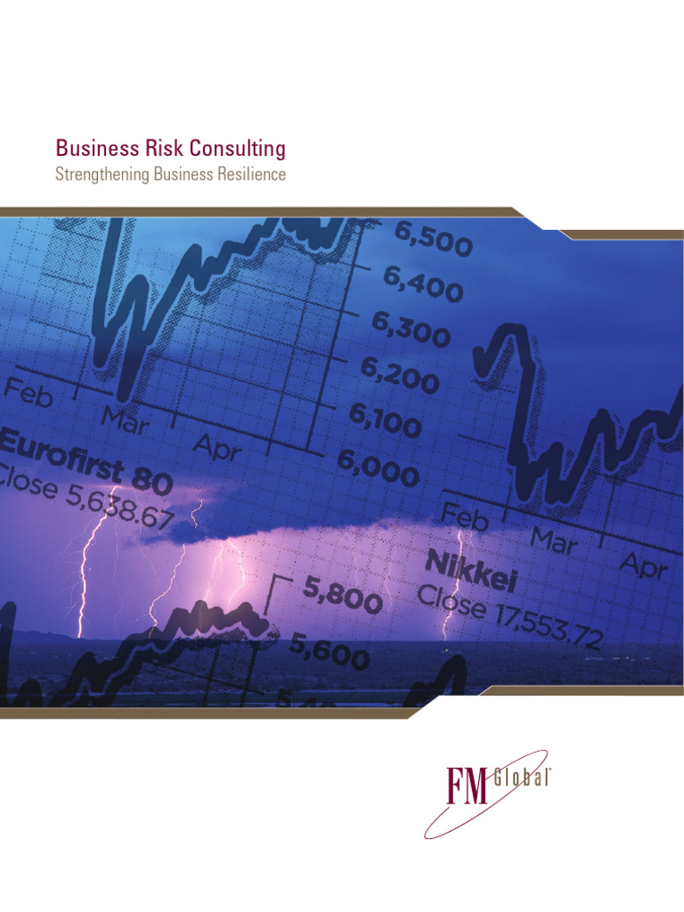 Business Risk Consulting | PDF