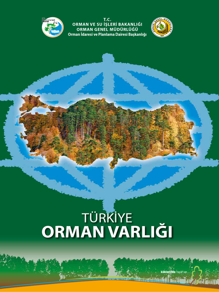 201hhh4 Türkiye Orman Varlığı | PDF