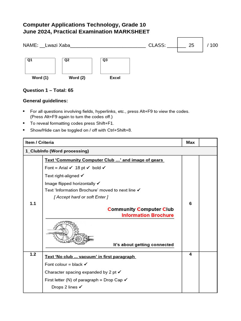 CAT Gr10 Prac MARKSHEET June2024 | PDF