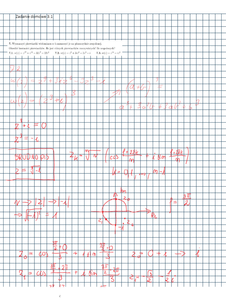 Zadanie Domowe 3.1 | PDF