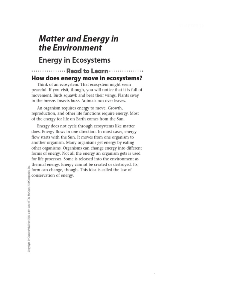 Chapter 12, Lesson 3 | PDF